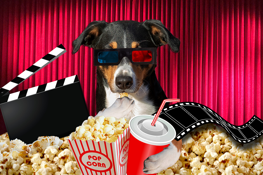 Dog Movies - 31 Box Office Busters | DogsGossip.com